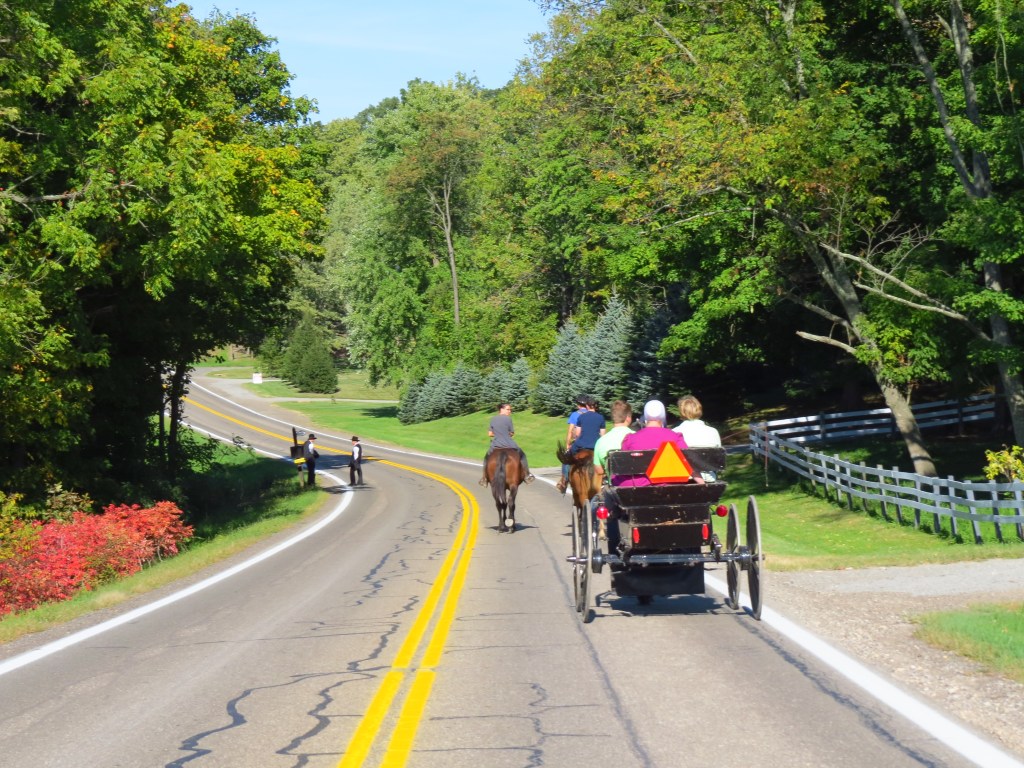Country living | Buggy Breaks